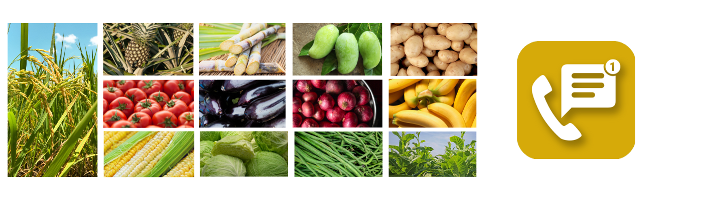 Contact Us | FMC Philippines